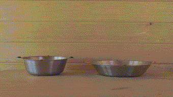FULL WiNDSOR - Magware Magnetic Bowls /Plates /Cutlery Family Set (35 PCS)